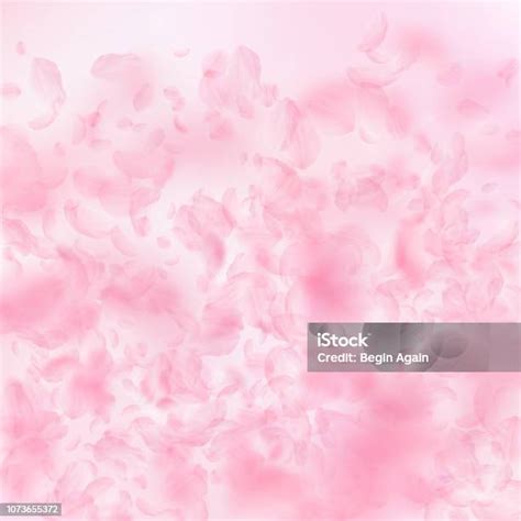 桜の花びらが落ちていますロマンチックなピンクの花 イラストレーションのベクターアート素材や画像を多数ご用意 イラストレーション