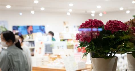 出店者紹介 Yotteco