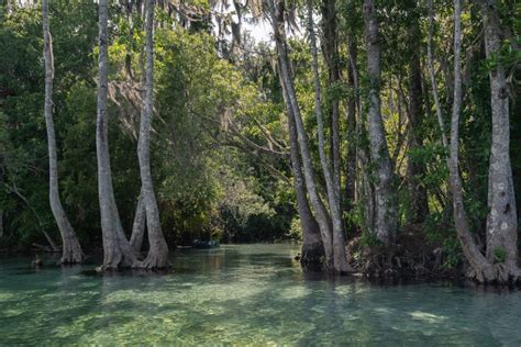 15th Anniversary And History Of The Florida Wildlife Corridor Florida