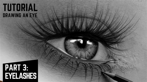 How To Draw Eyelashes In 8 Steps