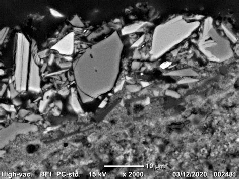 Scanning Electron Micrograph Of A Cross Sectional Sample Of The