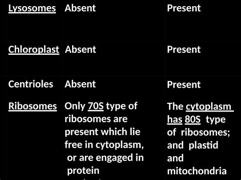 Sturcture Of Prokaryotic And Eukaryotic Cells Cell Division Mitosis