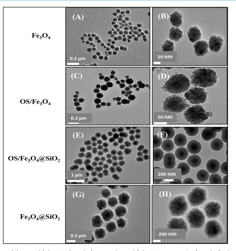Figure 1 From Facile Strategy For Fabricating An Organosilica Modified Fe3O4 OS Fe3O4 Hetero