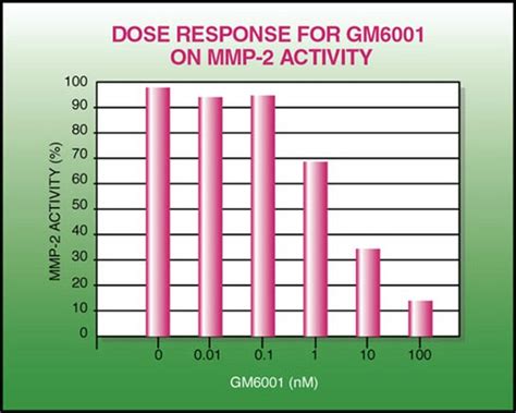 Gm6001 Mmp Inhibitor Cc1010