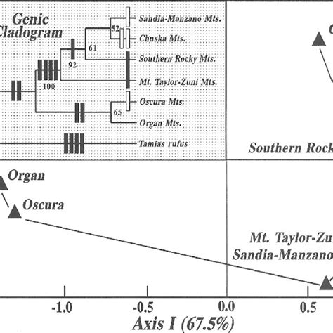 Minimum Spanning Tree Of Genetic Relationships Among Populations Based