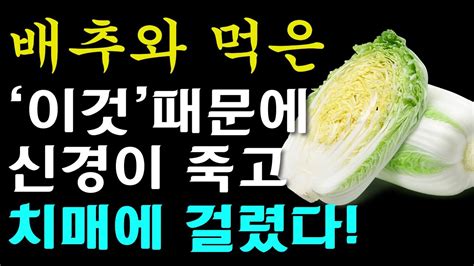 배추와 절대로 함께 먹지마세요 암과 치매에 걸릴 수 있습니다 배추와 먹으면 최악의 궁합 3가지와 건강지키는 최고의 음식 3