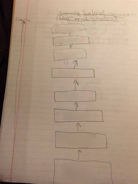 Hierarchical Levels Of Organization Diagram Quizlet