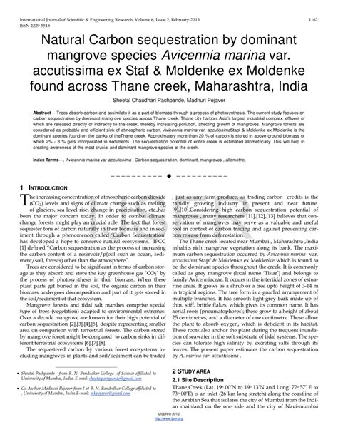 Pdf Natural Carbon Sequestration By Dominant Mangrove Species