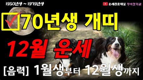 1970년생 12월 개띠운세 12월 대박운세 기회를 잡아라 12월개띠운세 70년개띠운세 Youtube