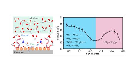 Efficient Electrocatalytic Nitrate Reduction To Ammonia Based On Dna