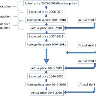 A Basic Dynamic Simulation Process Download Scientific Diagram