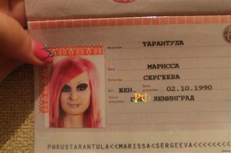 Можно ли фотографироваться на паспорт с цветными волосами 80 фото