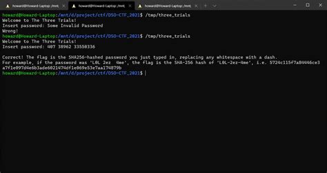 DSO NUS CTF 2021 Writeup