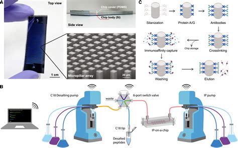 A Microfluidics Enabled Automated Workflow Of Sample Preparation For Ms