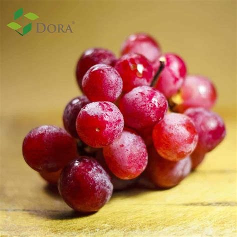 Abscisic Acid S Aba Plant Hormone 90tc 10sp Supplier And Exporter