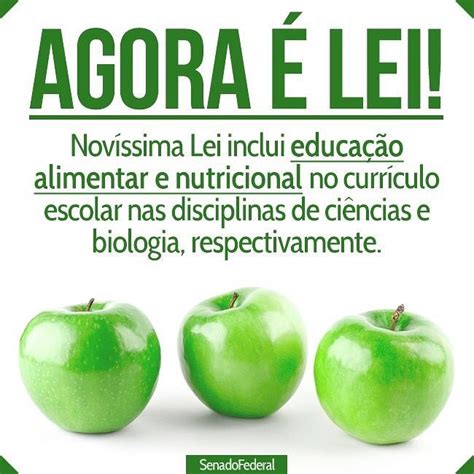 Bueno Malves Advogados Veja O Que Diz A Nova Lei