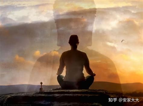 引诱 知乎