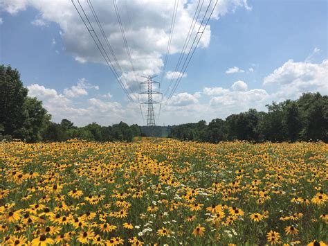 Utilities KEEPING KENTUCKY POWERED UP Lane Report Kentucky