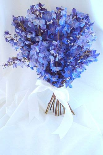 Delphinium Bouquet