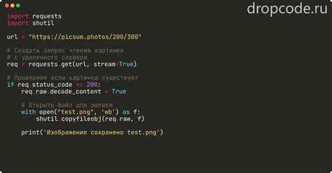 Как скачать картинку с сайта на Python