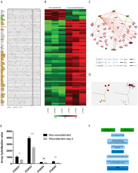 Re Analysis Of A Microarray Data Set From 14 On Non Wounded And In