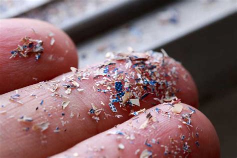 Microplastics Are Everywhere—are They Harming Us