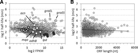 Mrna Half Lives Versus Fpkm Expression Values And Orf Lengths A Linear