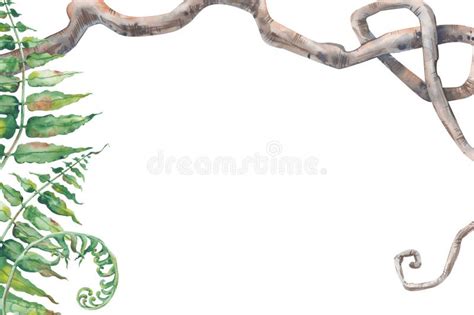 Rectangular Frame With A Curved Tree Branch And Fern Leaves Hand Drawn