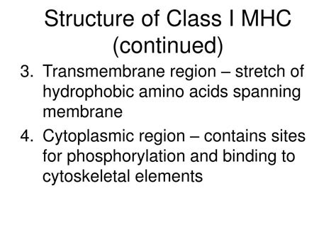 PPT MHC PowerPoint Presentation Free Download ID