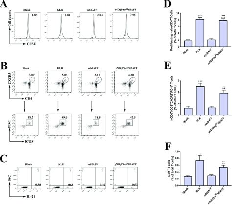 Stimulation Of Naïve Cd4 T Cells By Autologous Antigen Loaded Dcs Download Scientific Diagram