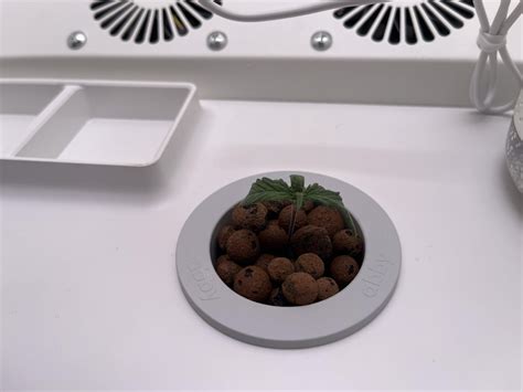 First Grow R Dwc