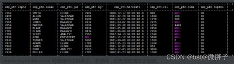 大数据之hadoop数据仓库hive Toy模板网 大数据之hadoop数据仓库hive Toy模板网