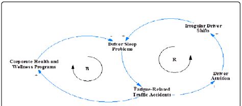 Hypothesized Reinforcing And Balancing Loops In Commercial Driver Sleep