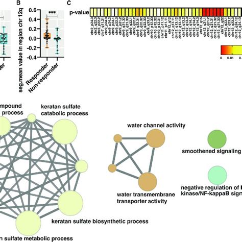 Somatic Copy Number Alterations In Specific Regions Of Escc A And B Download Scientific