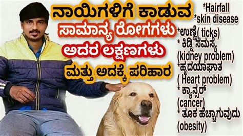 Common Diseases In Dogs In Kannada How To Cure Dog Its Symptoms And