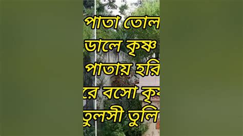 তুলসী গাছে জল দেবার মন্ত্র।। Youtube