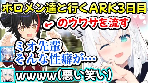 Ark W