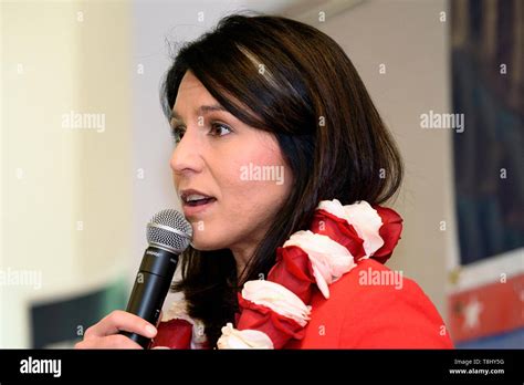 Tulsi Gabbard A Democrat From Hawaii And 2020 Presidential Candidate