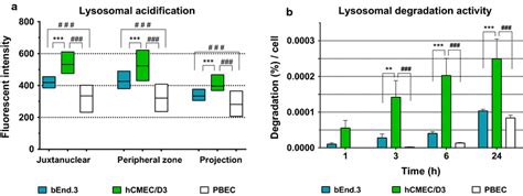 Lysosomal Function A Fluorescent Intensity Of Lysosensor Green Shows