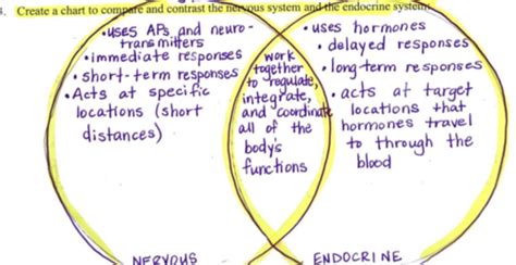 Quiz Endocrine System Flashcards Quizlet