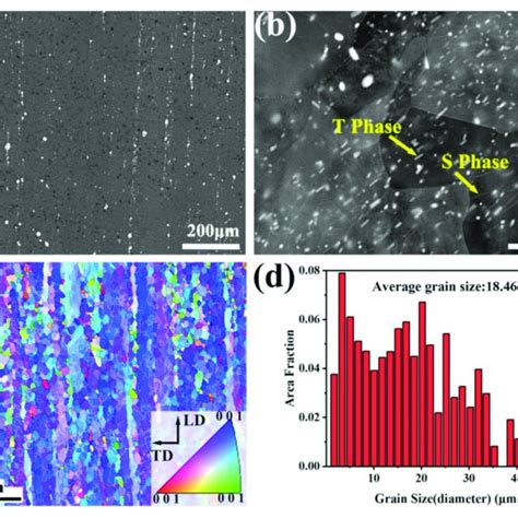 Typical Microstructures Of αβ Titanium Alloys A Widmanstätten B