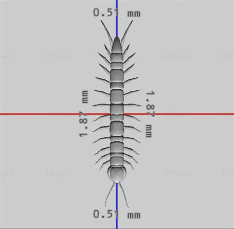 Centipede 3d Model Ready To Print
