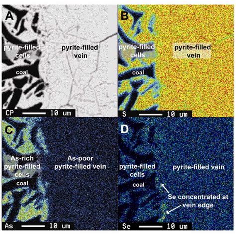 Element Distribution Maps Of Arsenic And Selenium In Kentucky Coal Download Scientific Diagram