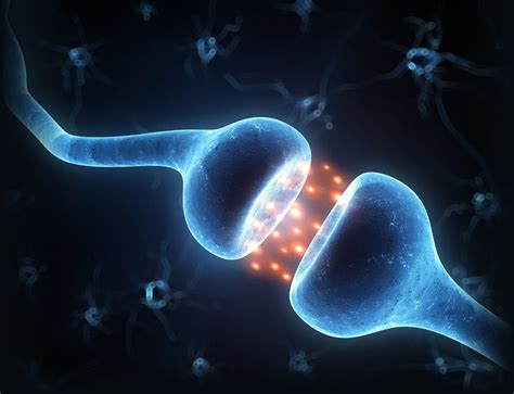 Redicalm Natural Stress Relief Nutreance