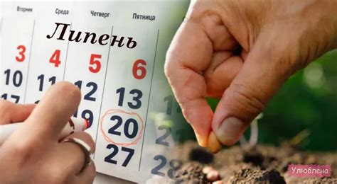 Посівний календар на липень 2022 Сприятливі та не сприятливі дні