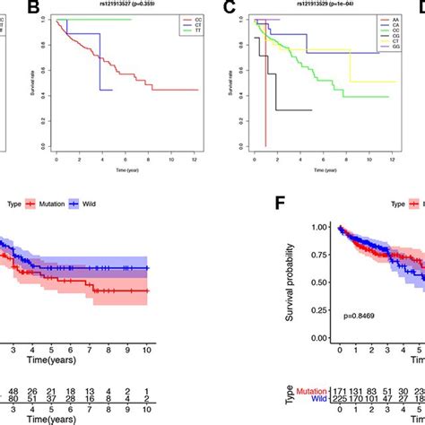 The Landscape Of Genetic Mutations In Colon Cancer A The 30 Most