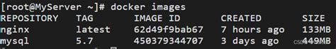 Docker容器实验报告finalshell安装docker实验报告 Csdn博客