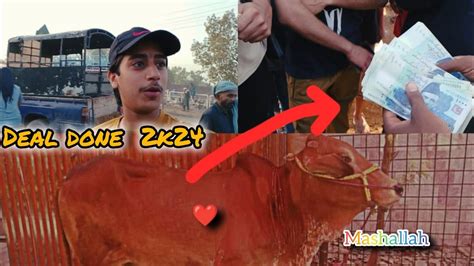 Alhamdulilah Qurbani Ka Janwar Lai Liya Shahpur Kanjra Mandi Qurbani K Viralvideo