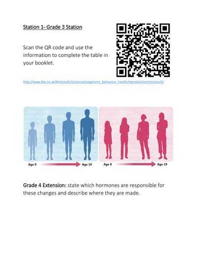 Reproductive Hormones New Aqa Gcse Full Lesson Teaching Resources