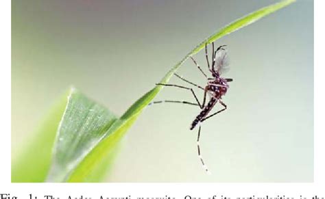 Figure 1 From Mosquito Larva Classification Based On A Convolution Neural Network Semantic Scholar